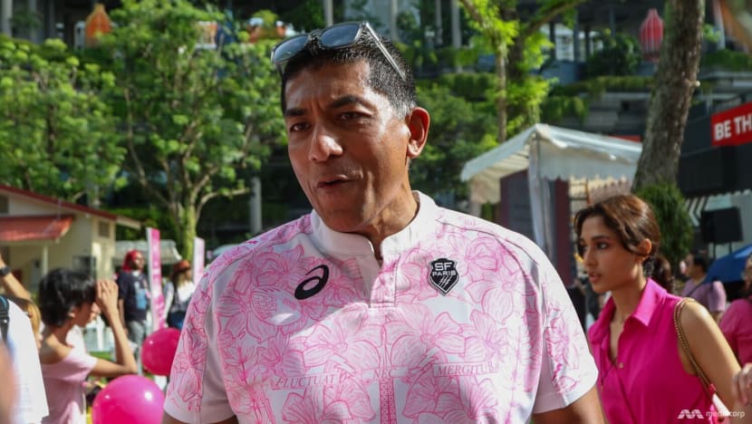 Politicians show up for Pink Dot despite scorecard grading their 'family values', say it's ...